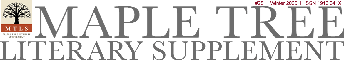 Luke Sawczak - Maple Tree Literary Supplement - issue28